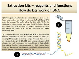 Extraction kits – how do kits work on dna | PPT