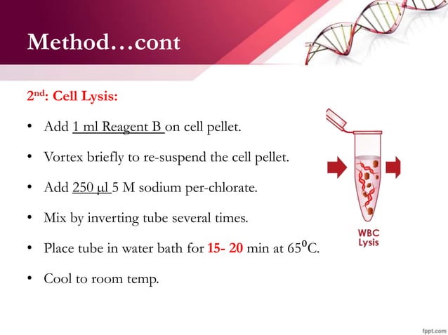EXTRACTION OF DNA FROM BLOOD kit method | PPTX | Blood Disorders ...