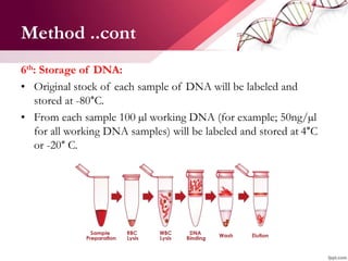 EXTRACTION OF DNA FROM BLOOD kit method | PPTX