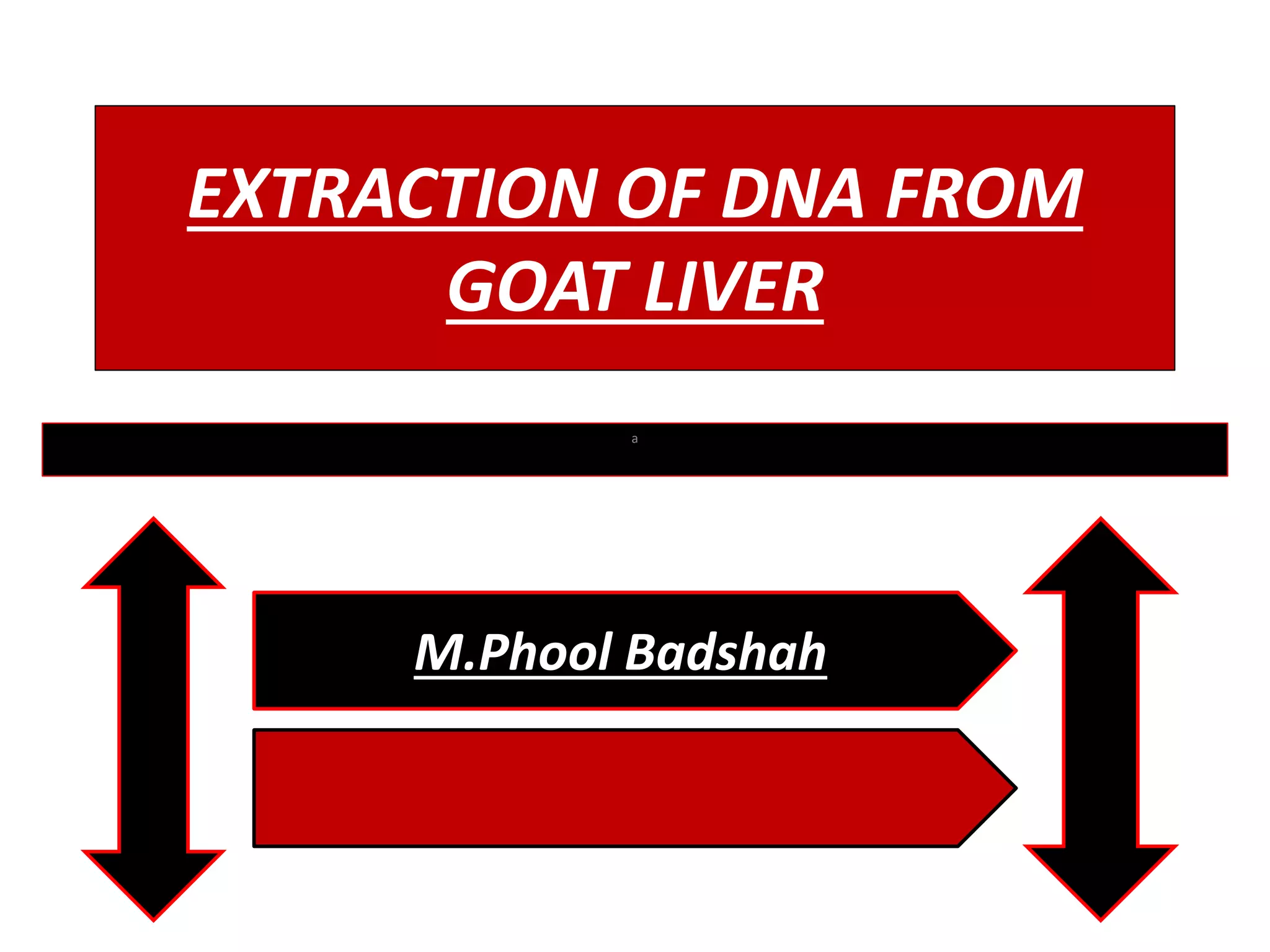 EXTRACTION OF DNA FROM GOAT LIVER.pptx