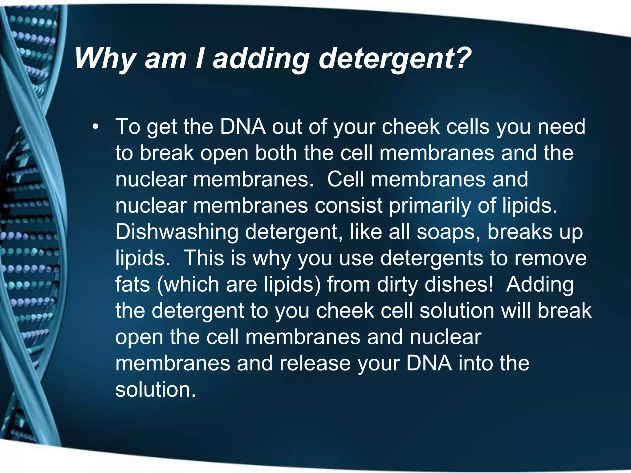 Extraction of DNA from human cheek cells | PPTX