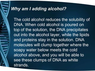 Extraction of DNA from human cheek cells | PPTX