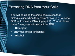 Extraction of DNA from human cheek cells | PPTX