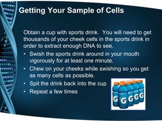 Extraction of DNA from human cheek cells | PPTX