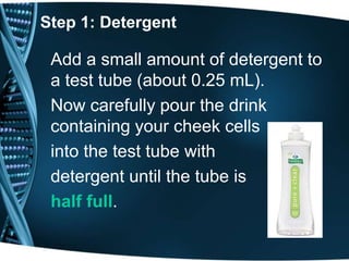 Extraction of DNA from human cheek cells | PPTX