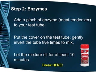 Extraction of DNA from human cheek cells | PPTX