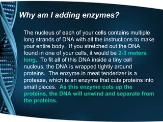 Extraction of DNA from human cheek cells | PPTX
