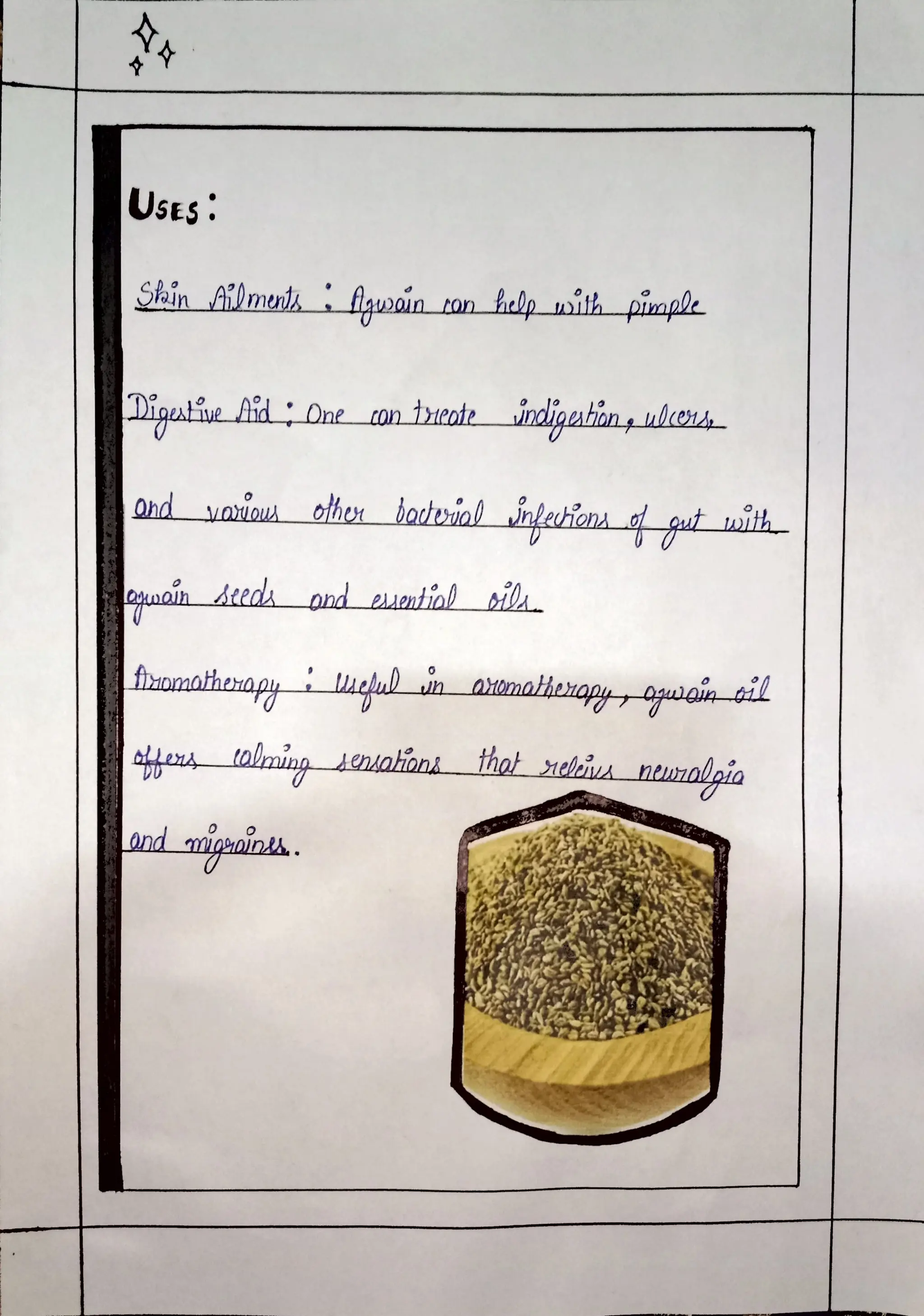 Extraction of Essential Oils-INVESTIGATORY PROJECT(CBSE Class 12 ...