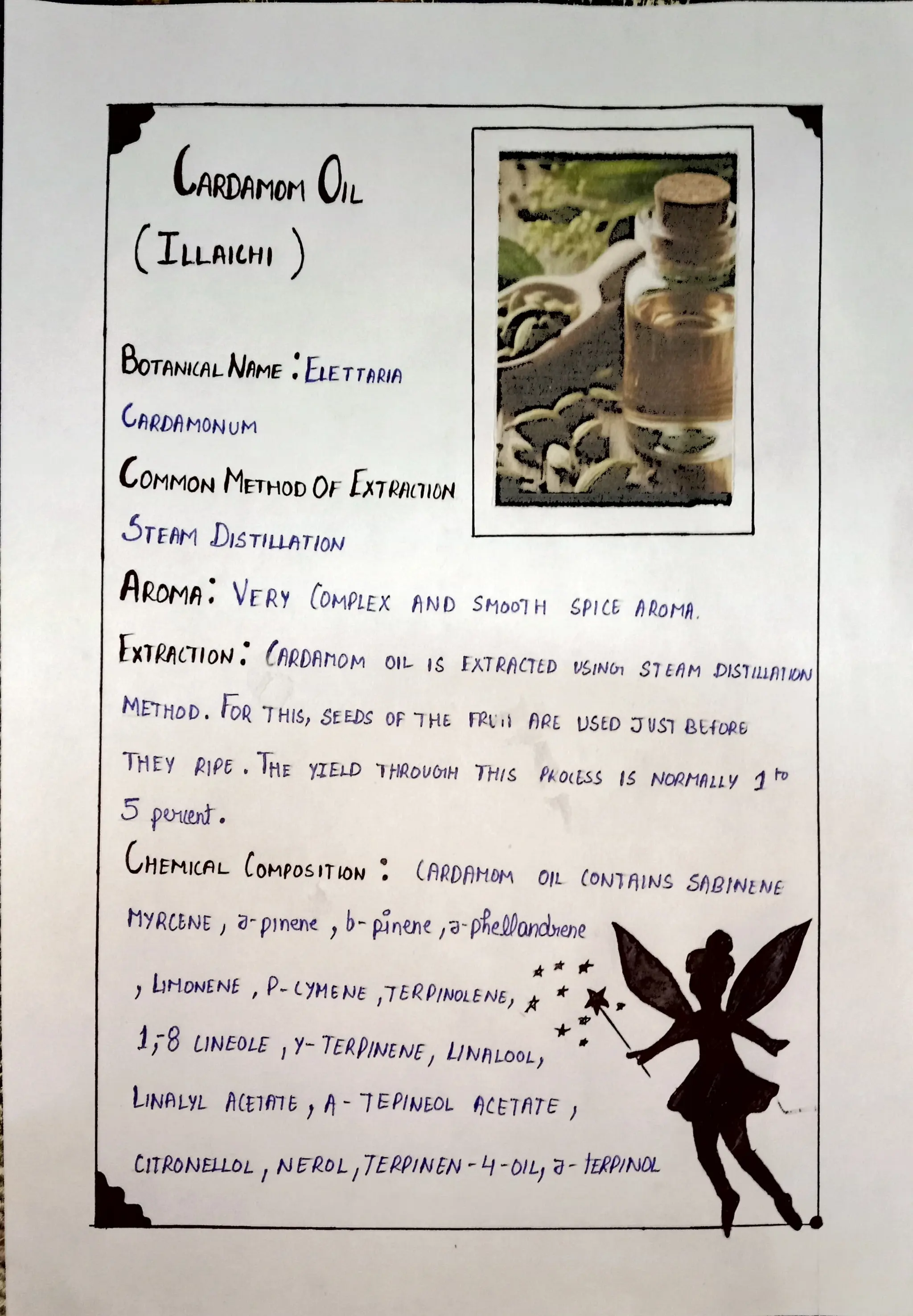 Extraction of Essential Oils-INVESTIGATORY PROJECT(CBSE Class 12 ...
