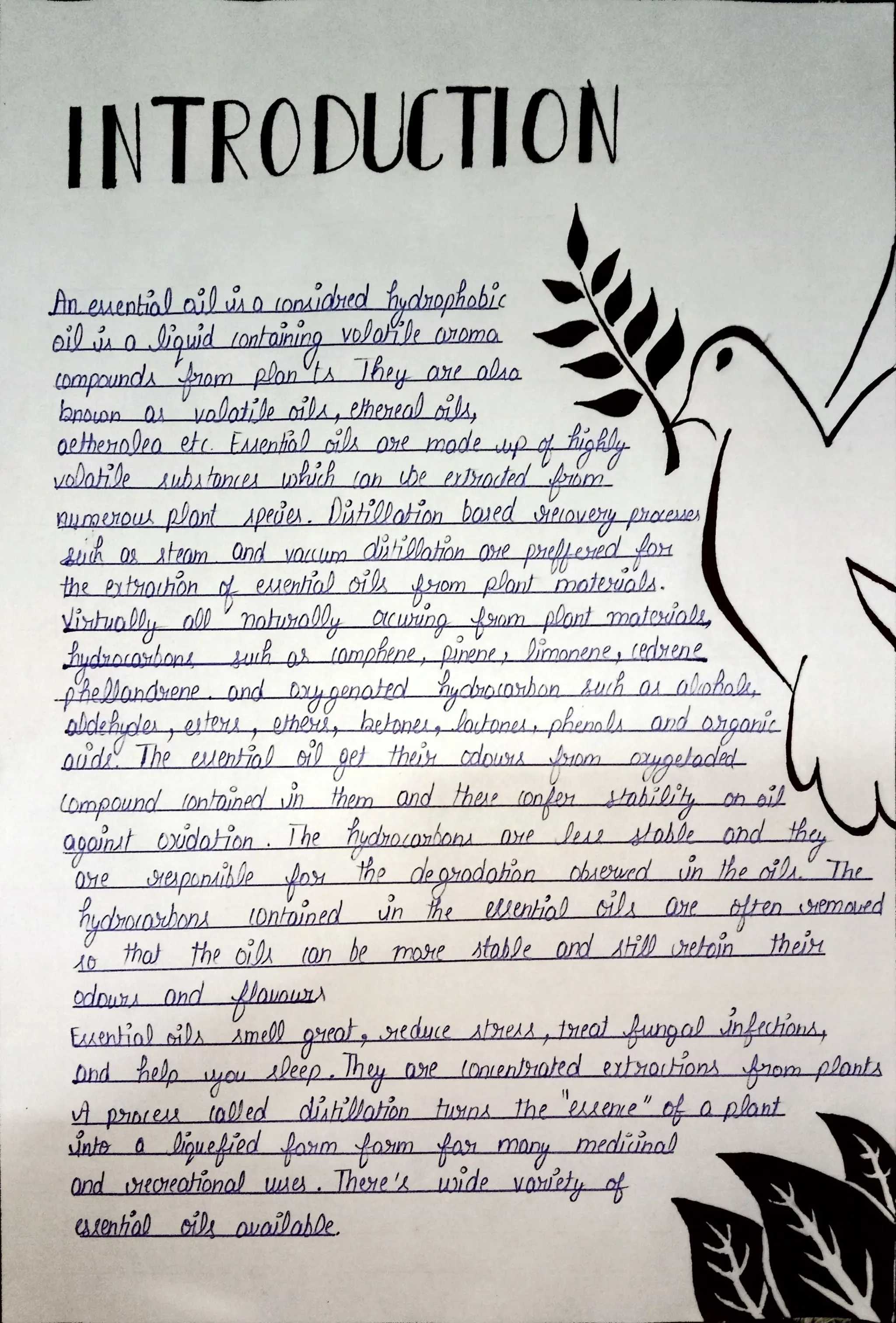 Extraction of Essential Oils-INVESTIGATORY PROJECT(CBSE Class 12 ...