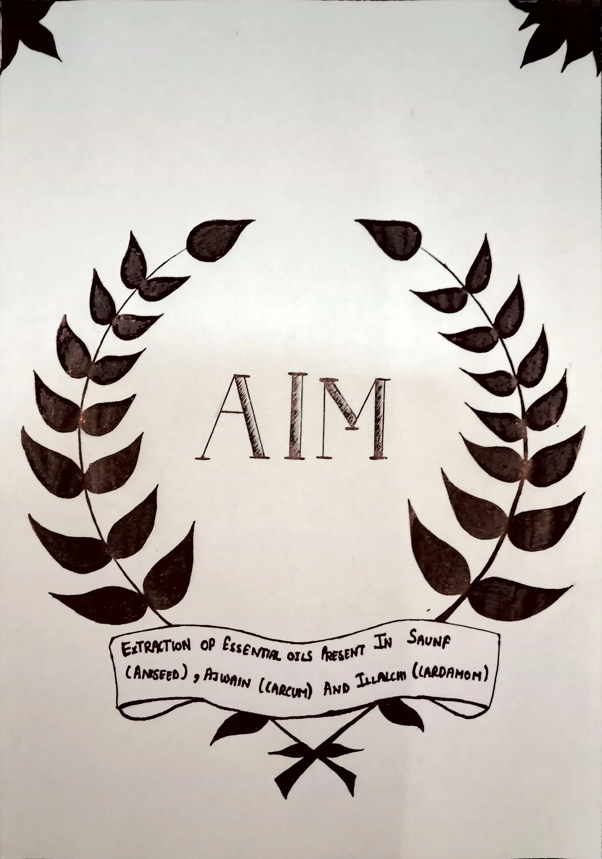 Extraction of Essential Oils-INVESTIGATORY PROJECT(CBSE Class 12 ...
