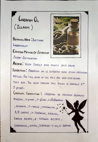 Extraction of Essential Oils-INVESTIGATORY PROJECT(CBSE Class 12 ...