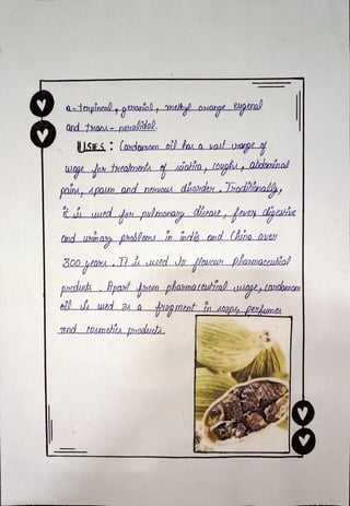 Extraction of Essential Oils-INVESTIGATORY PROJECT(CBSE Class 12 ...