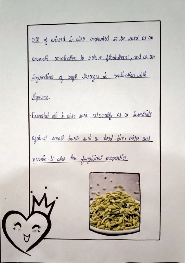 Extraction of Essential Oils-INVESTIGATORY PROJECT(CBSE Class 12 ...