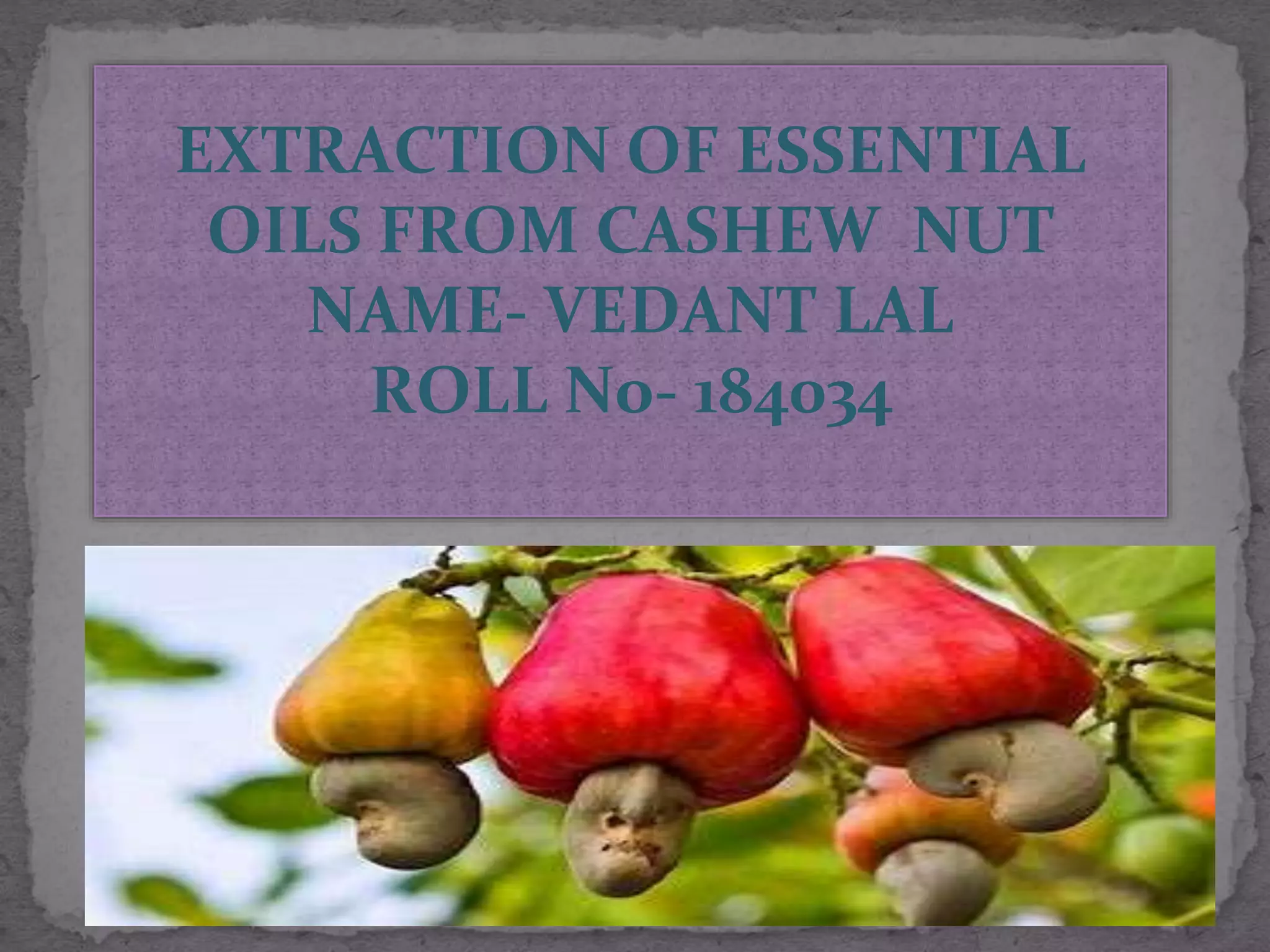EXTRACTION OF ESSENTIAL OILS FROM CASHEW NUTS (VEDANT LAL)ppt.pptx