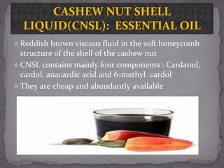 EXTRACTION OF ESSENTIAL OILS FROM CASHEW NUTS (VEDANT LAL)ppt.pptx