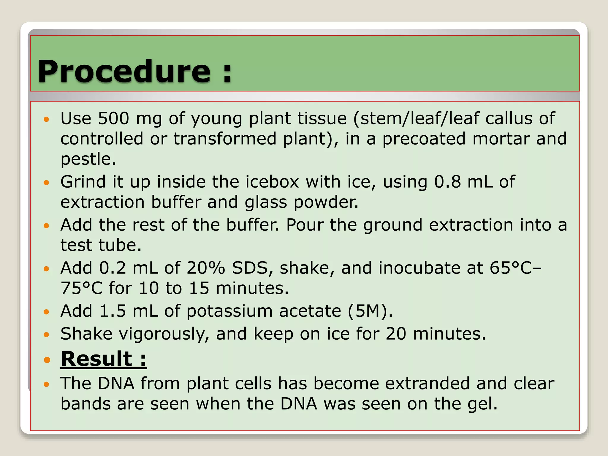 EXTRACTION OF GENOMIC DNA FROM PLANT SOURCE.pptx
