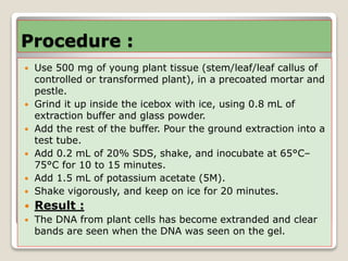 EXTRACTION OF GENOMIC DNA FROM PLANT SOURCE.pptx