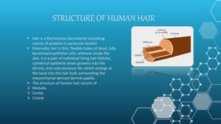 EXTRACTION OF KERATIN FROM HUMAN HAIR WASTE.pptx