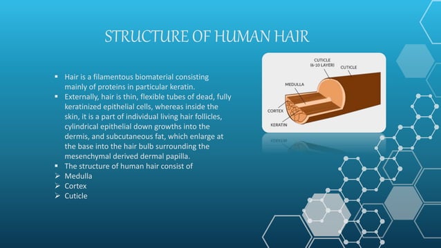 EXTRACTION OF KERATIN FROM HUMAN HAIR WASTE.pptx | Hair Care | Beauty