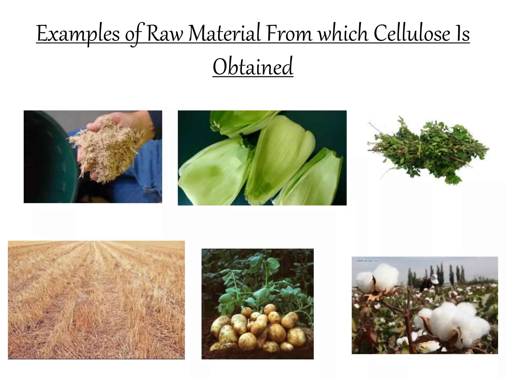 Nanocellulose from Biomass | PPTX