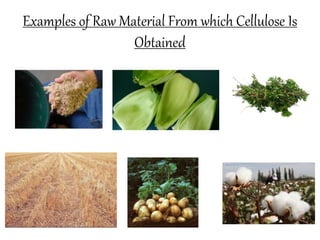 Nanocellulose from Biomass | PPTX