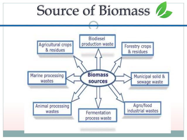 Nanocellulose from Biomass | PPTX | Chemistry | Science
