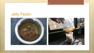 Extraction of pectin | PPTX