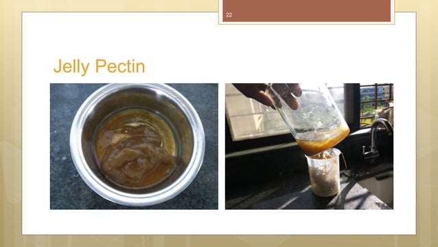 Extraction of pectin | PPTX