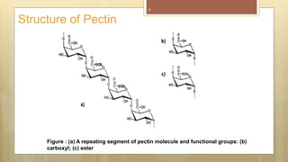 Extraction of pectin | PPTX