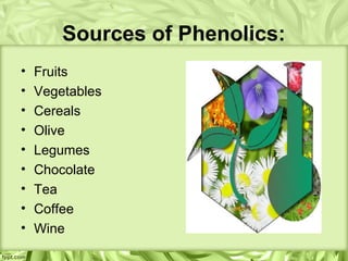 Extraction of phenolics | PPT