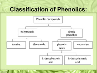 Extraction of phenolics | PPT