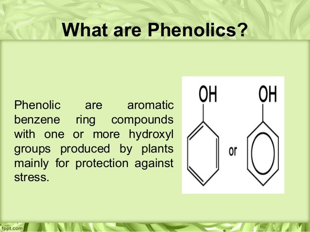 Extraction of phenolics