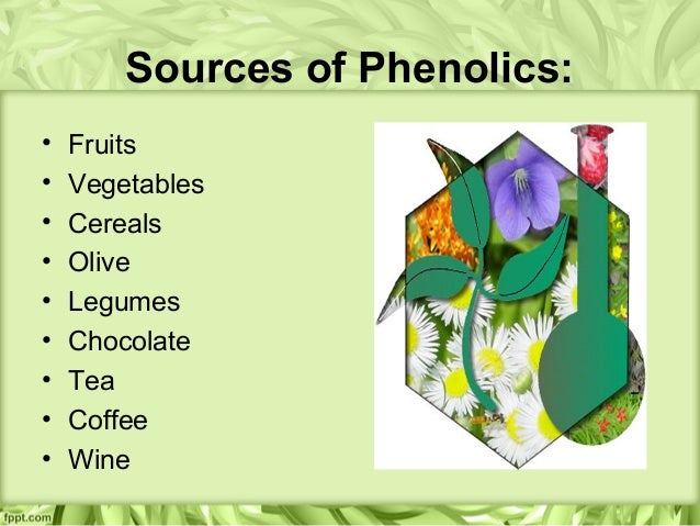 Extraction of phenolics