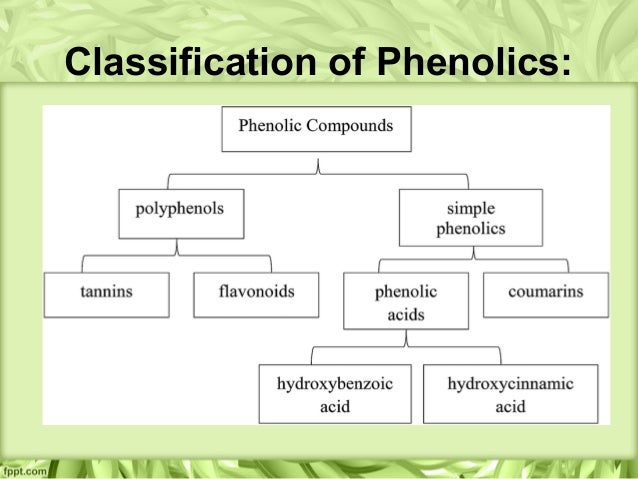 Extraction of phenolics