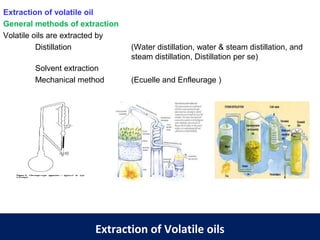Extraction of Phytochemicals | PPT