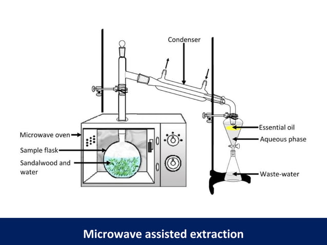 Extraction Of Phytochemicals