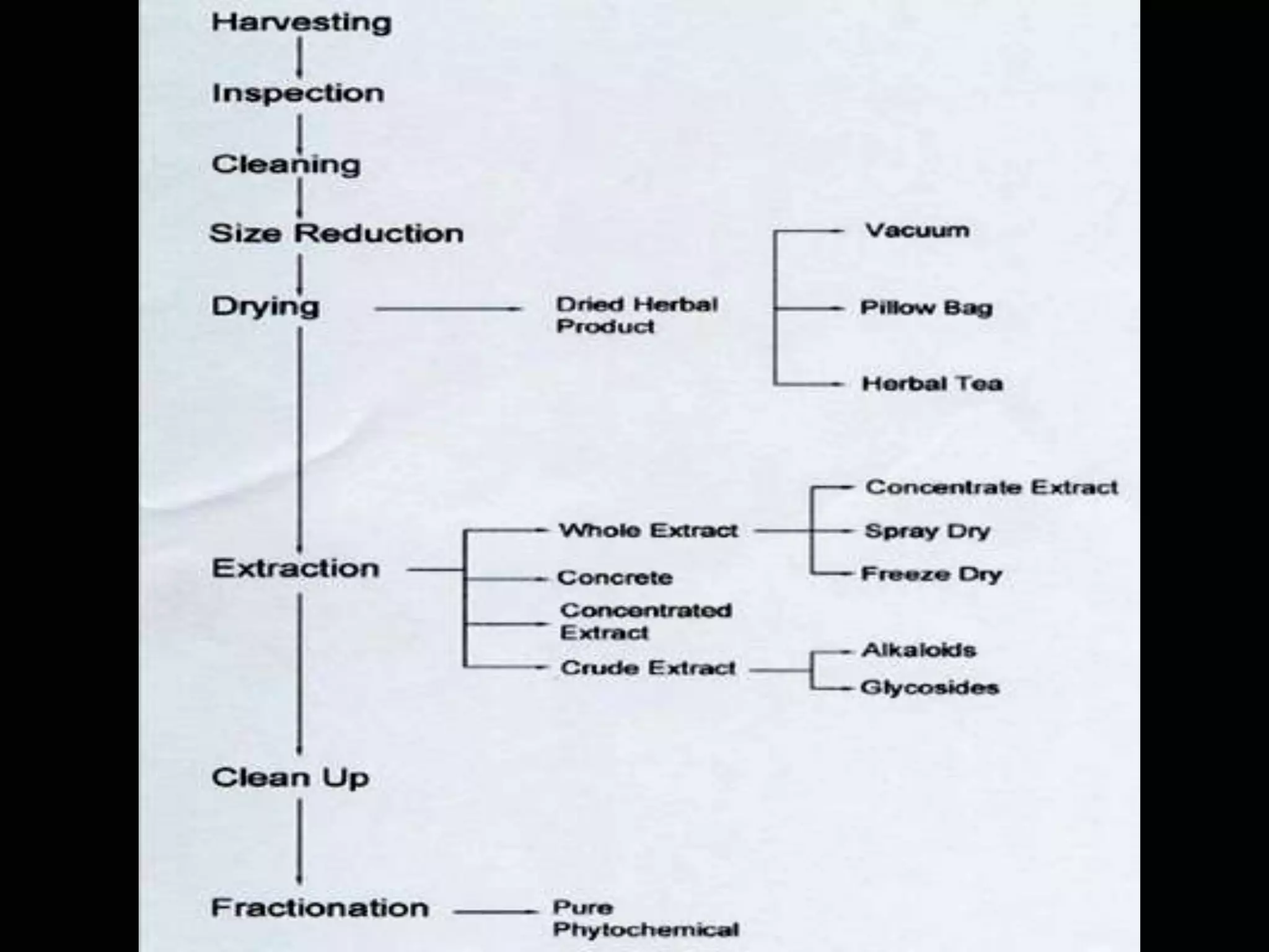Extraction of phytochemicals | PDF