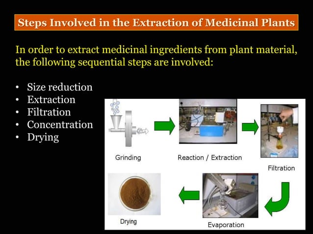 Extraction of phytochemicals | PDF | Herbs and Supplements ...