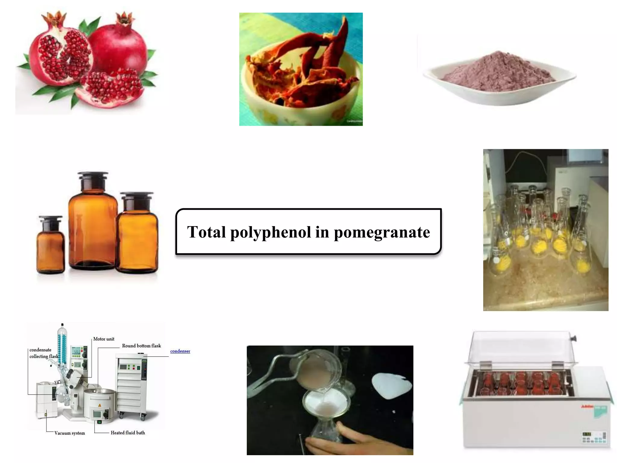 Extraction of polyphenol from pomegranate | PPTX