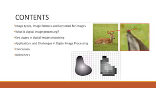 Extraction of region of interest in an image | PPT