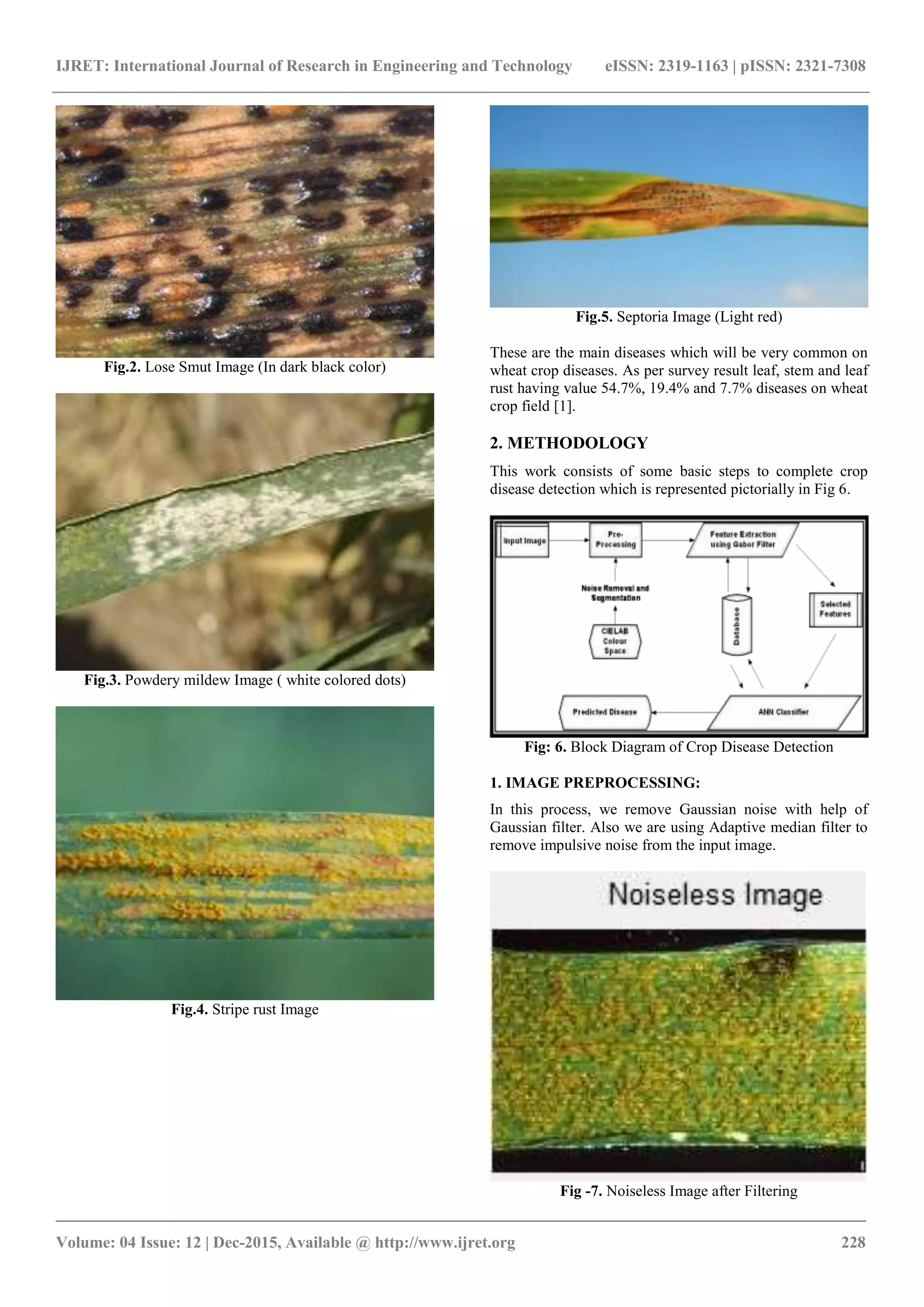 Extraction Of Texture Features By Using Gabor Filter In Wheat Crop
