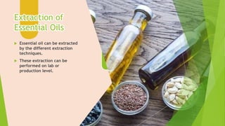 Extraction technique of Aromatic Plants .pptx