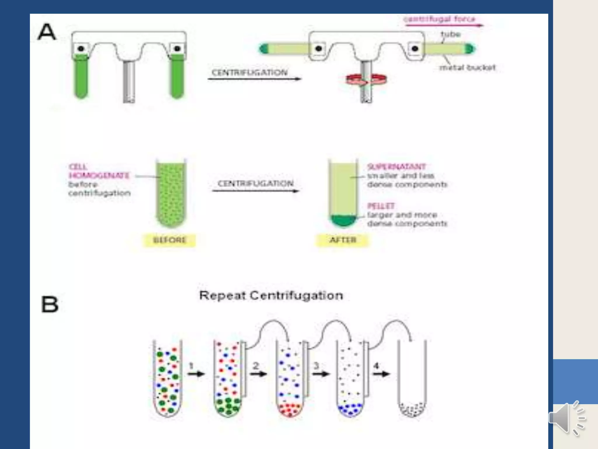 Extraction Techniquescell Fraction Filtration Distellation Soxhlet Extraction Centrifugation