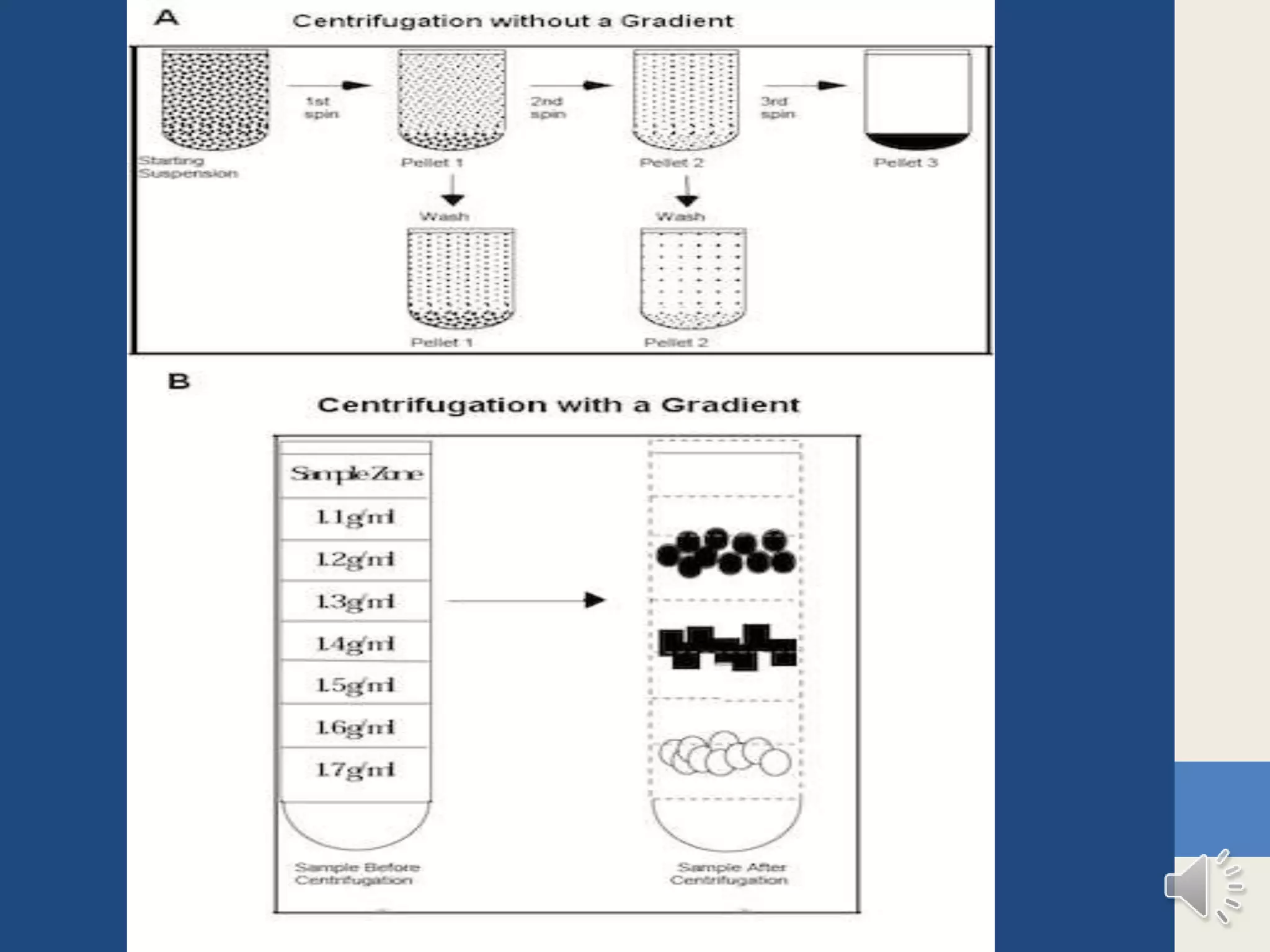 Extraction Techniquescell Fraction Filtration Distellation Soxhlet