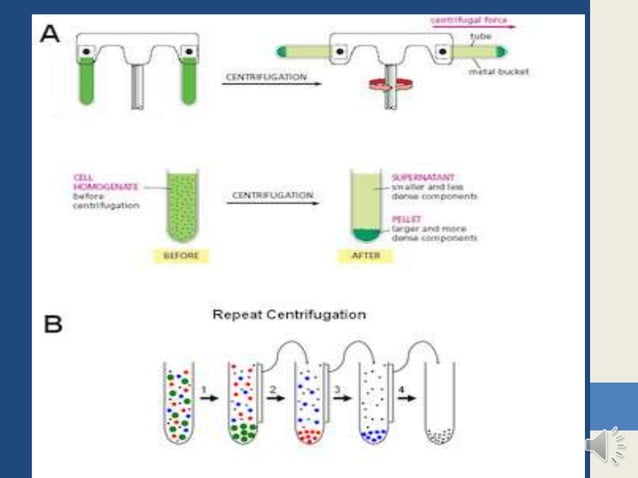 Extraction techniques(cell fraction filtration distellation soxhlet ...