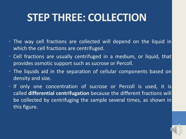 Extraction Techniquescell Fraction Filtration Distellation Soxhlet