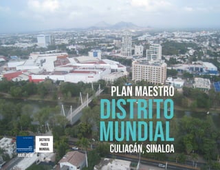 Extracto plan maestro | PDF