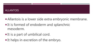 Extra embryonic membrane | PPTX