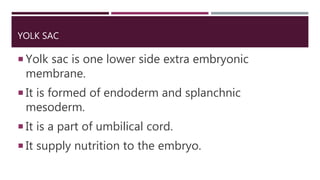 Extra embryonic membrane | PPTX